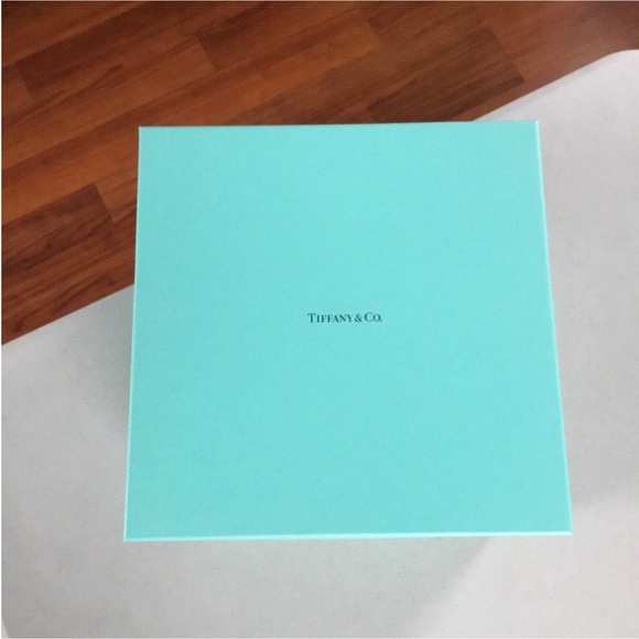 Tiffany & Co. | Accessories | Tiffany Co Empty Box No Tissue No Labels ...